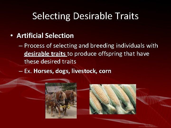 The Best Selection Topic 6 Darwins Theory Charles