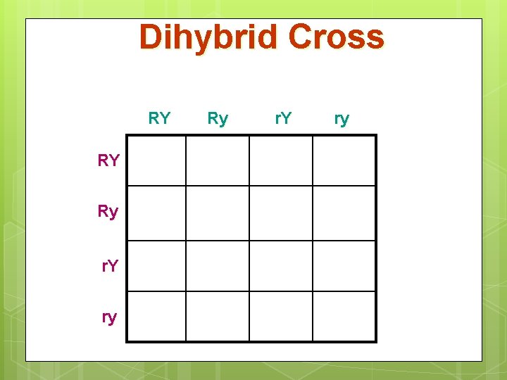 Dihybrid Punnett Squares What exactly is a dihybrid