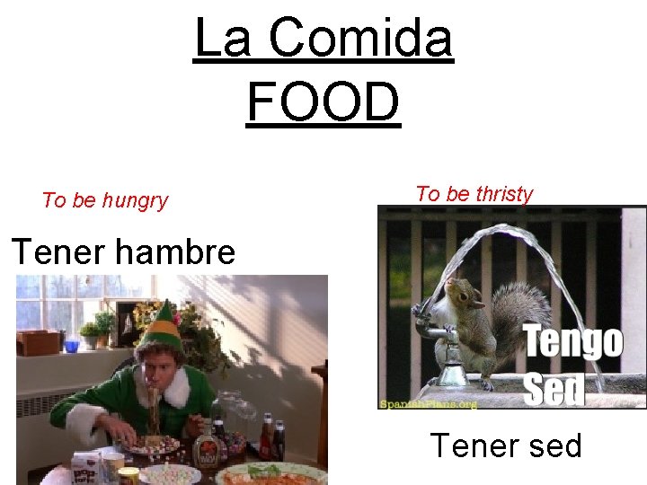 Food Vocabulary Power Point Presentation Fruits Vegetables Drinks