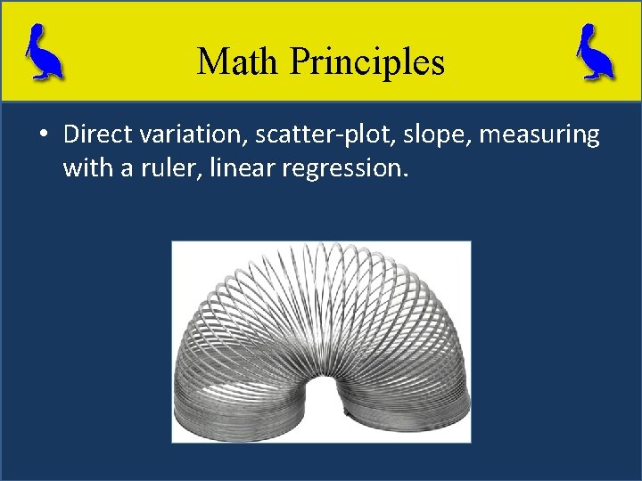 Math Lab 23 Slinky Secrets Revealed Purpose of