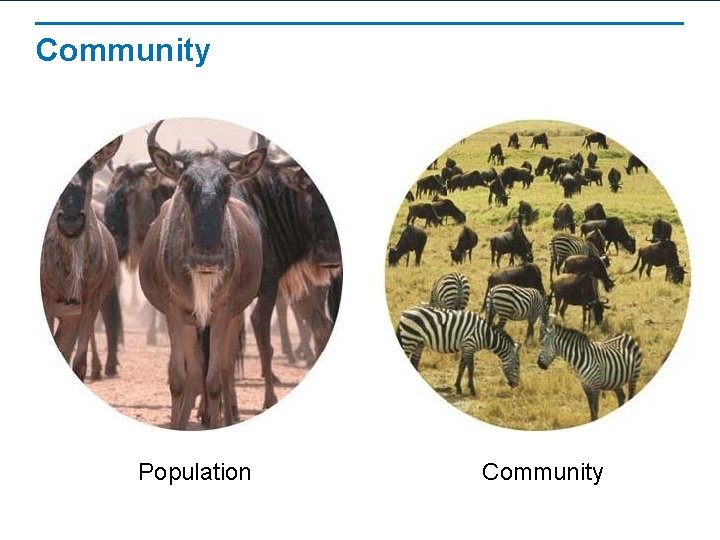 3 1 Introduction to Global Systems Learning Objectives