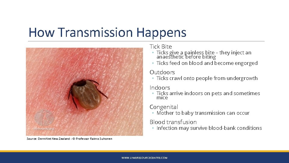 Lyme Disease AND HOW TO AVOID TICK BITES