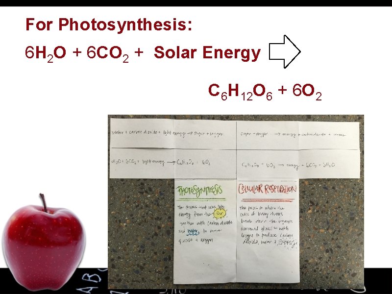 Photosynthesis Cellular Respiration stepbystep guide to a foldable