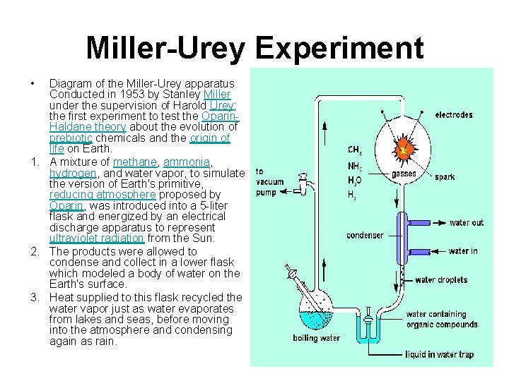 The Big Bang theory of the formation of