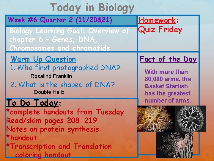 Today in Biology Week 6 Quarter 2 1118