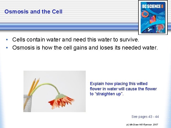 1 3 Diffusion Osmosis and the Cell Membrane