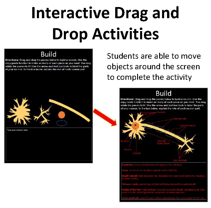 Body Systems Digital Interactive Notebook Chapter 1 The