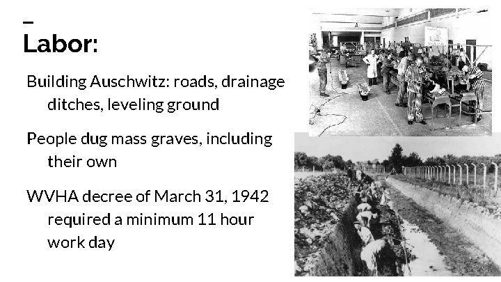 Daily Life in the Camp of Auschwitz Birkenau