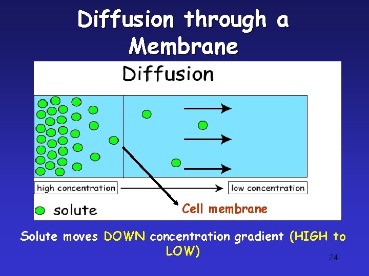 Bellringer 101617 Create your Unit 3 Cell Transport