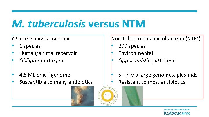 Treatment of nontuberculous mycobacterial pulmonary disease ERSATSIDSAESCMID clinical