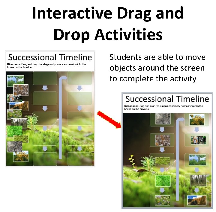 Ecology and Ecosystems Digital Interactive Notebook Chapter 1