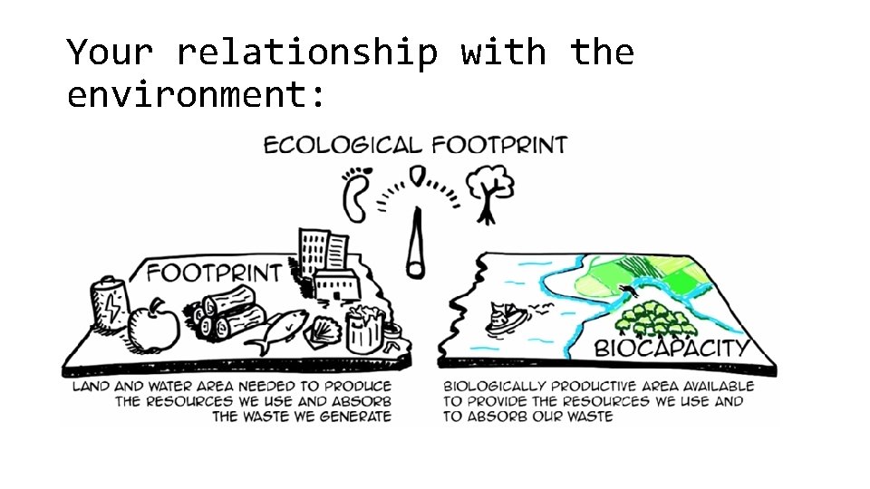 What is an ecological footprint Sustainability and Human