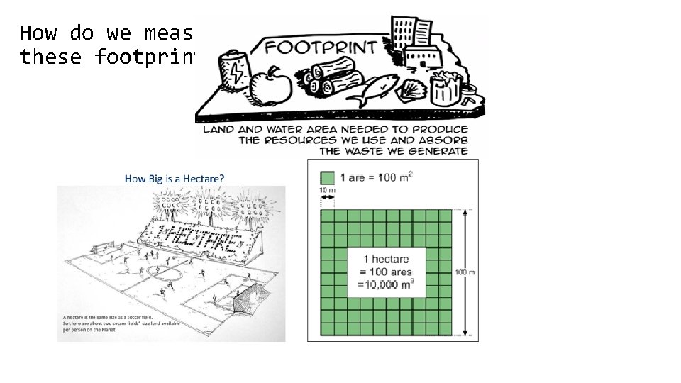 What is an ecological footprint Sustainability and Human