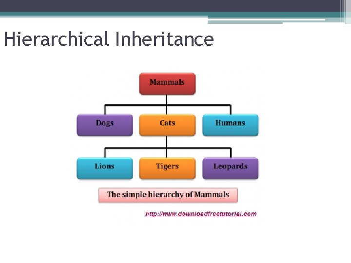 CS 1201 Programming Language 2 Classes and objects
