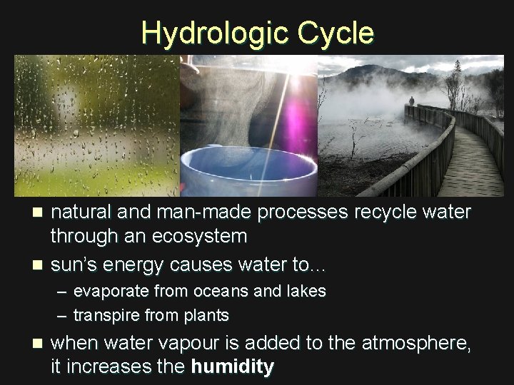 Unit D Living Systems Chapter 1 The biosphere