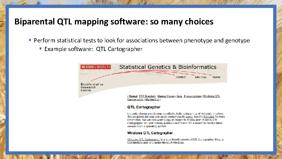 Mapping Quantitative Trait Loci Qtls Pbg 430 Mapping