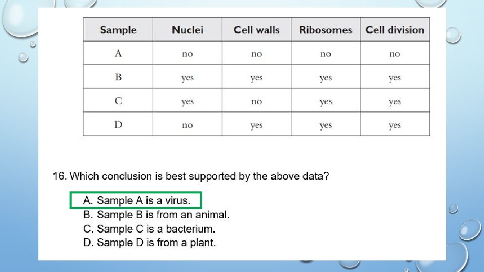 SURFIN THROUGH STAAR REPORTING CATEGORY 1 BIOMOLECULES AND