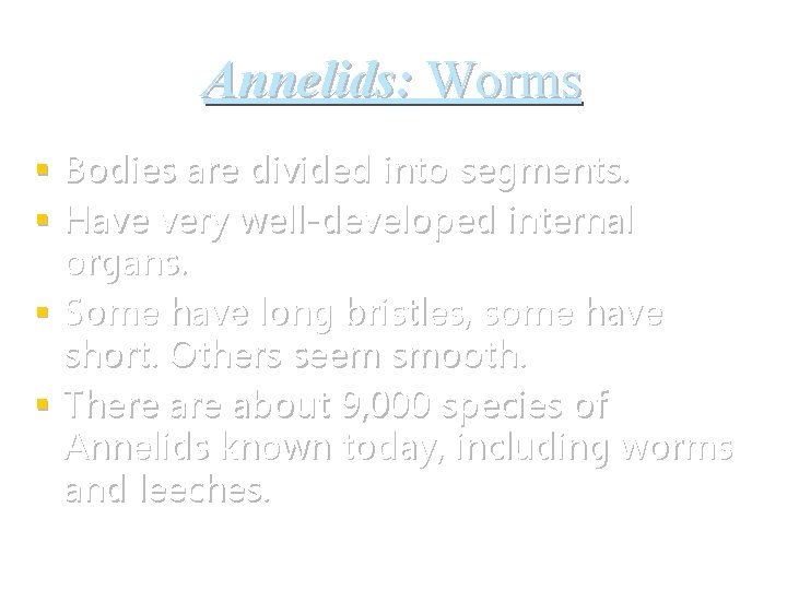Animal Kingdom Invertebrates Sponges Annelids Worms Mollusks Oysters