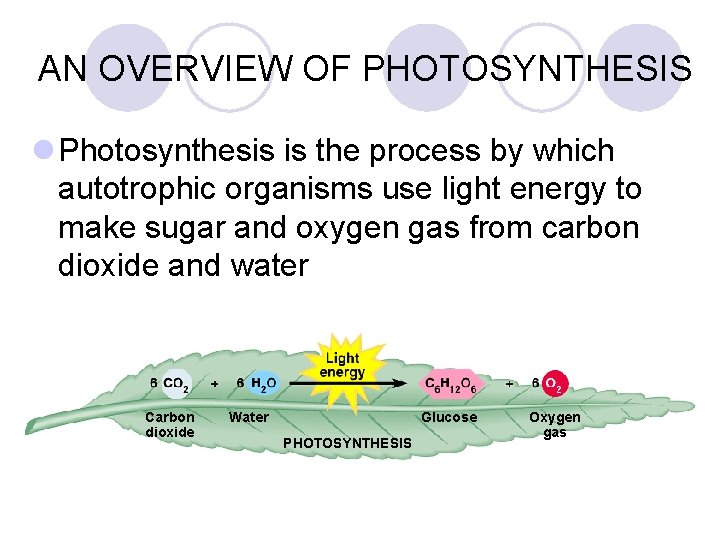 PHOTOSYNTHESIS Energy can be transformed from one form
