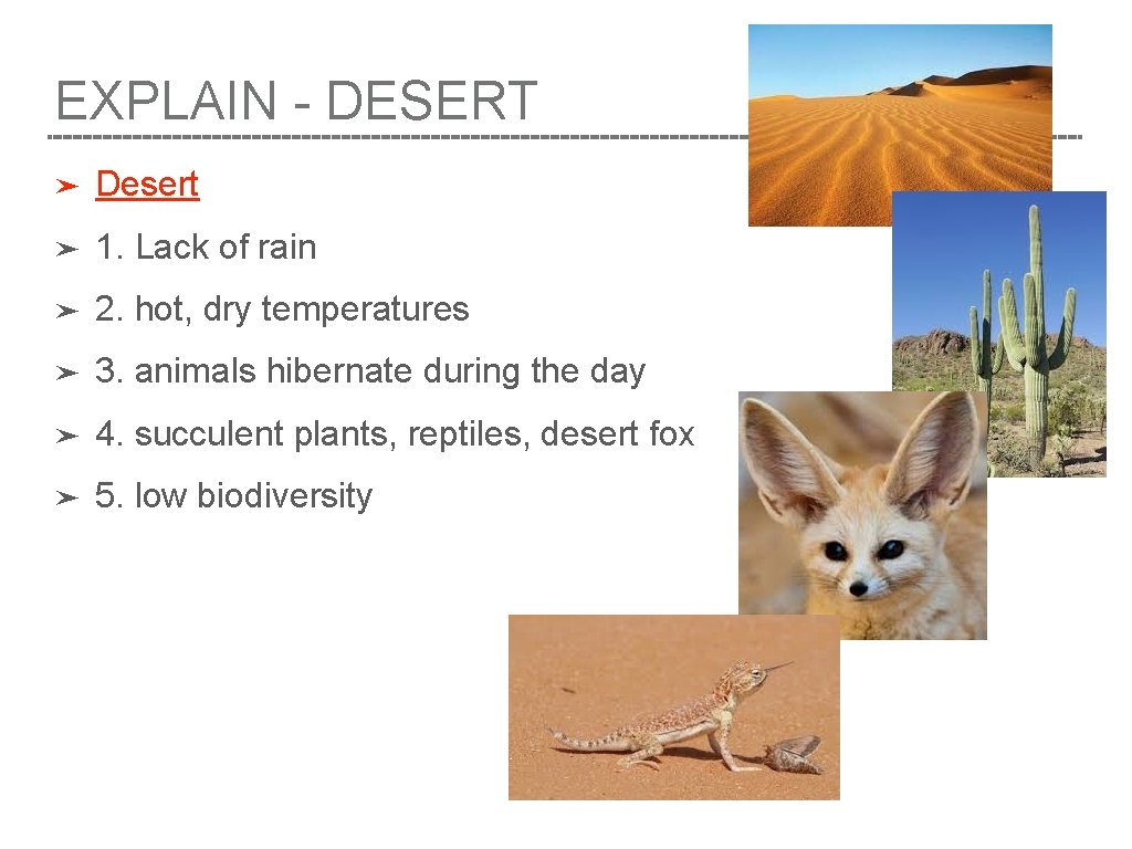 BIOMES Big Q What abiotic and biotic factors