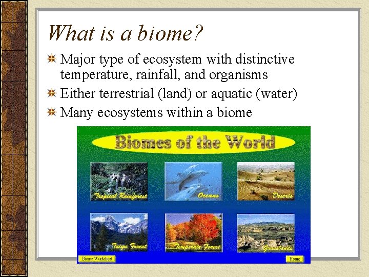 Chapter 6 Biomes Section 6 1 What is