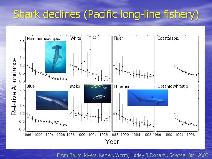 Ocean Biogeographic Information System Evolution and challenges in