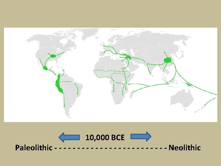 Australopithecus Homo habilis Homo erectus Homo sapiens 3