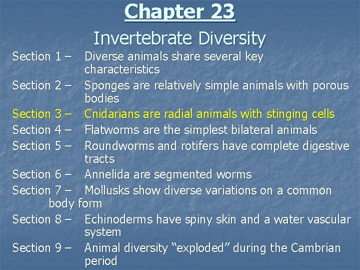 Chapter 23 Section 1 Invertebrate Diversity Diverse animals