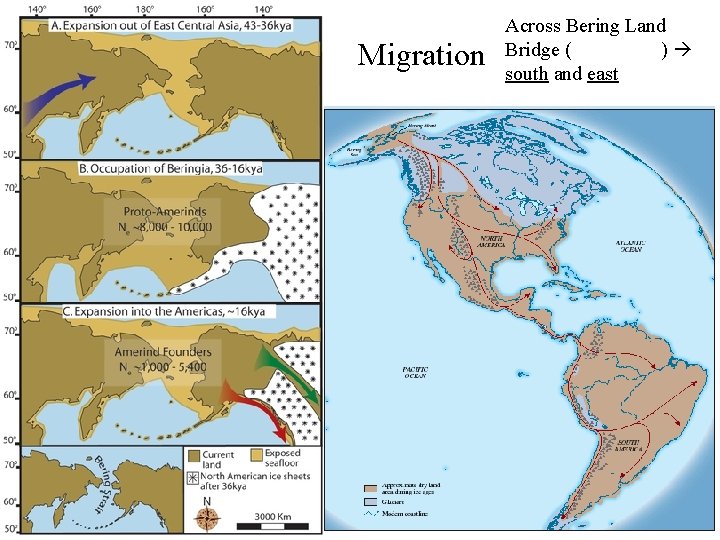 American Beginnings to 1783 Chapter 1 Key Ideas