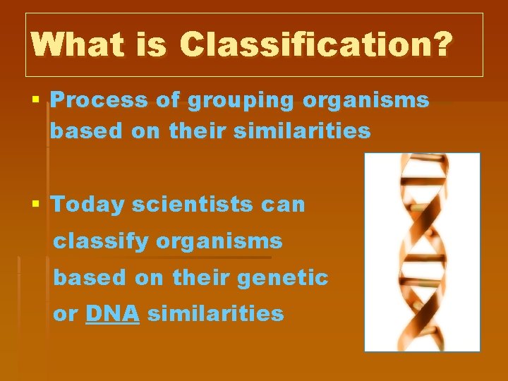 Carl Linnaeus 1707 1778 Born in Sweden Carl