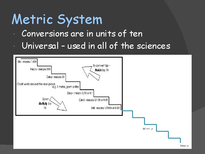 Lab 1 The Metric System LIFE SCIENCE LAB
