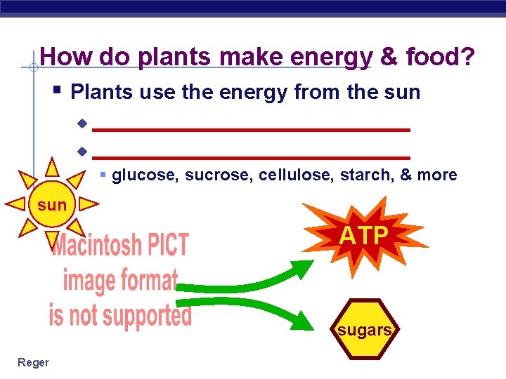Photosynthesis Life from Light and Air Regents Biology