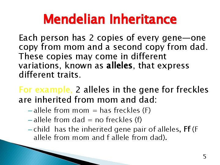 General Genetics Practical Session BIO 221 Lecturer Alshehri