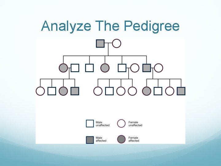 Section 7 4 Human Genetics and Pedigrees Biology
