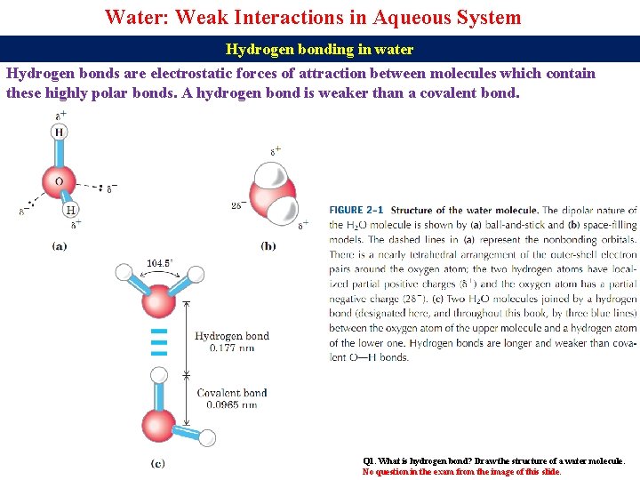 BIO 201BBT 101 SPRING 2018 Introduction to Biochemistry