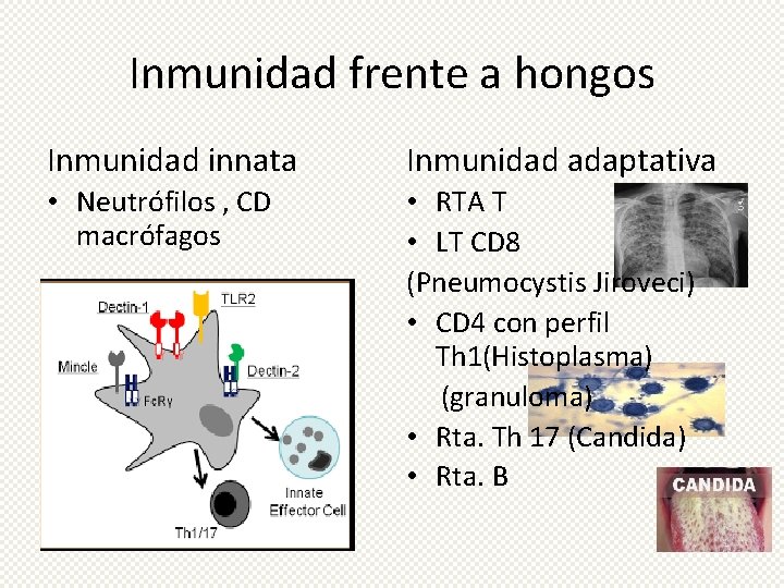 INMUNIDAD ANTIINFECCIOSA Defensas hospedador Evasion o resistencia OBJETIVOS