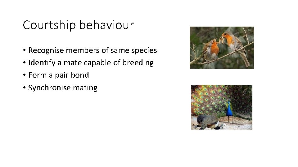 Biodiversity Revision Starter questions What is biodiversity Why