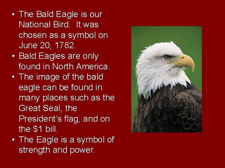 UNITED STATES SYMBOLS The rose became the national