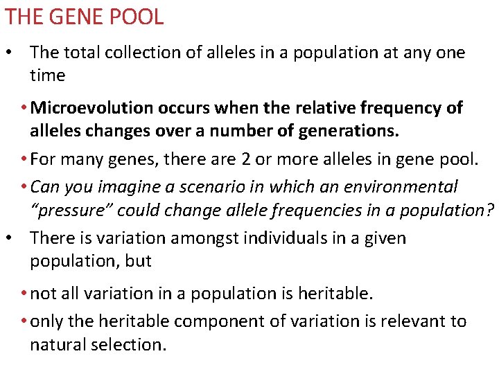 MECHANISMS OF EVOLUTION IMSS BIOLOGY SUMMER 2013 Fossil