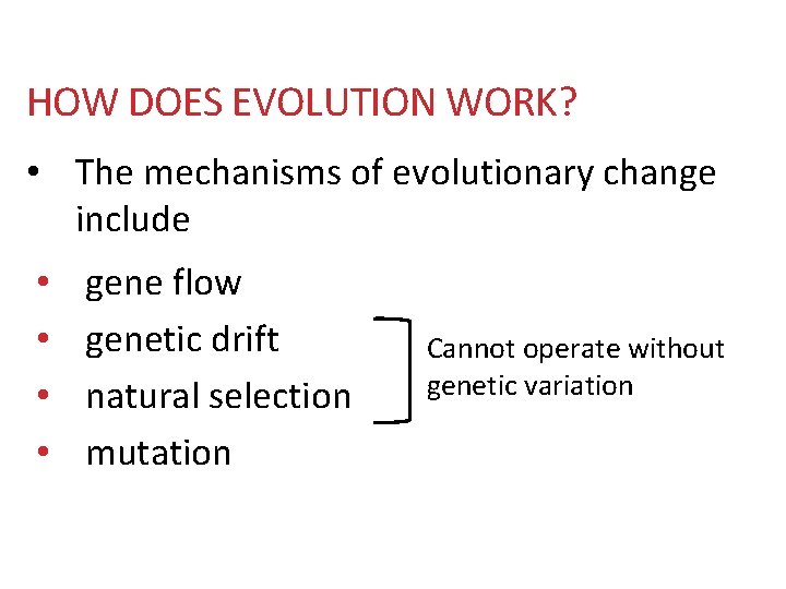 MECHANISMS OF EVOLUTION IMSS BIOLOGY SUMMER 2013 Fossil