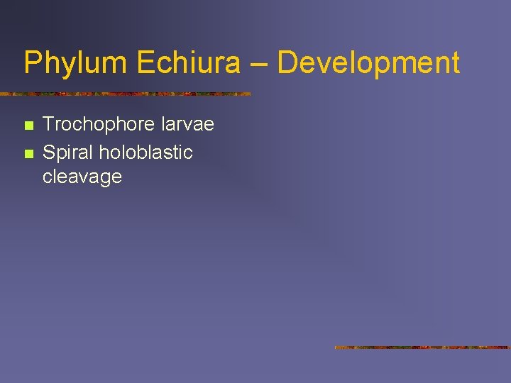 ZOO 115 Invertebrate Zoology Phylum Echiura Phylum Echiura