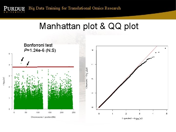 Big Data Training for Translational Omics Research Homework