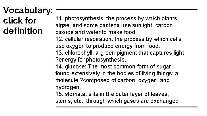 Vocabulary for Plants 6 th Grade Science Vocabulary