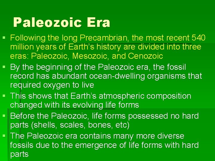 1 Warm Up The most common Precambrian fossils