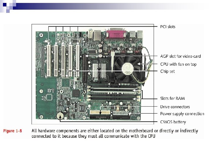 CP 1610 Introduction to Computer Components The Motherboard
