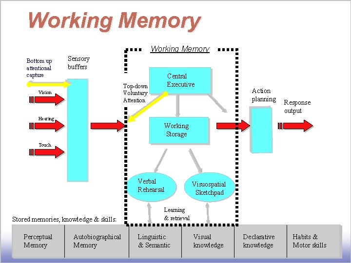 Cognitive Architectures A Functional Framework for Cognition Based