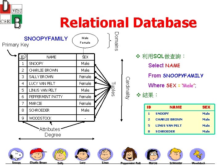 Relational Database Primary Key Id Name Male Female 2436