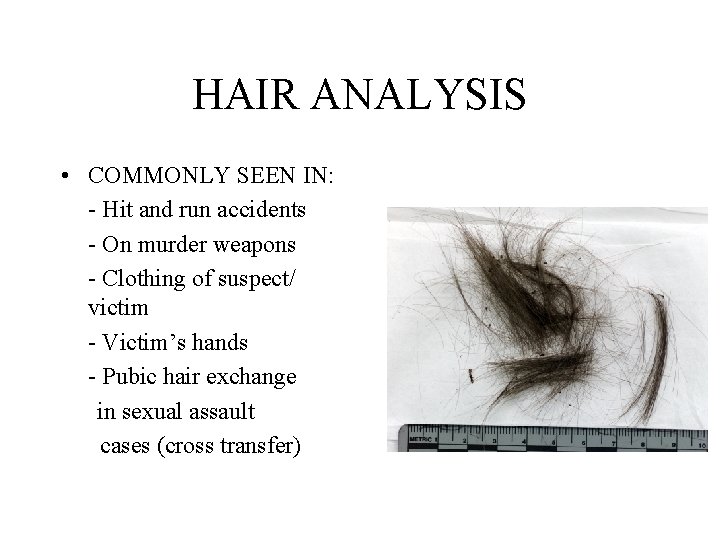JS 113 Trace evidence Hairs Fiber and Paint