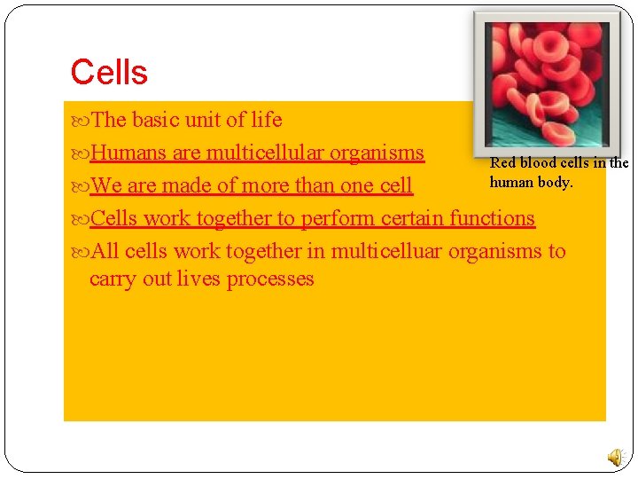 The Human Body Cells The basic unit of