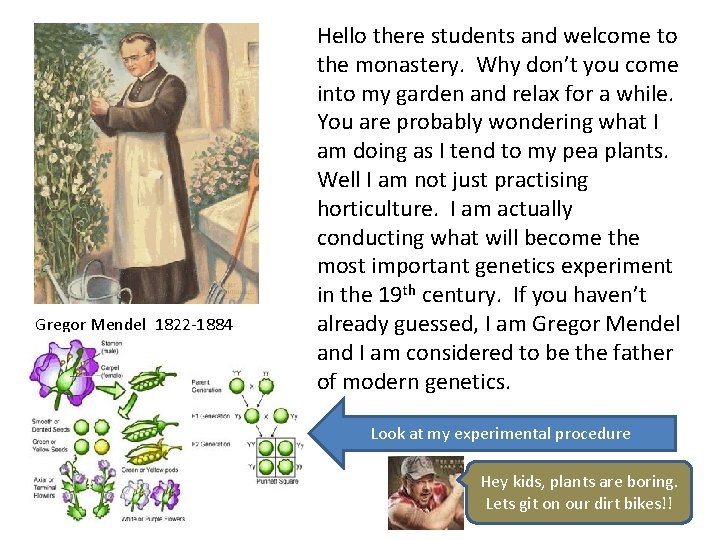 Mendelian Genetics Begins Gregor Mendel 1822 1884 Hello